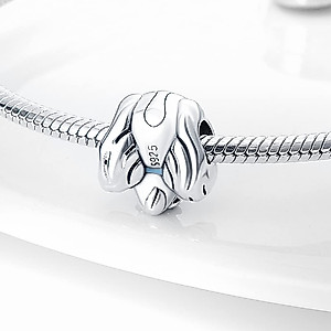 LIGHTDOG 925 Sterling Silver Charms for Bracelets Necklaces Dangle Pendants Beads Charms Fits Pandora Charms Bracelets Jewelry Holidays Gift for Women