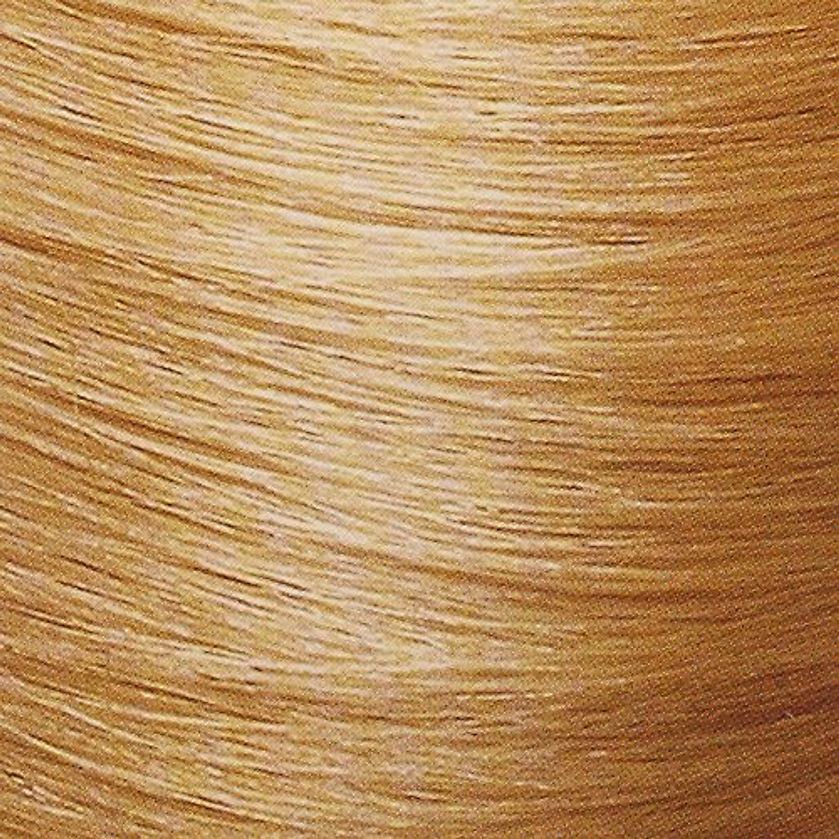 John Frieda Blonde Permanent Precision Foam Hair Color, Blonde Hair Dye, 9N Light Natural Blonde Hair Color Kit, 1 Application