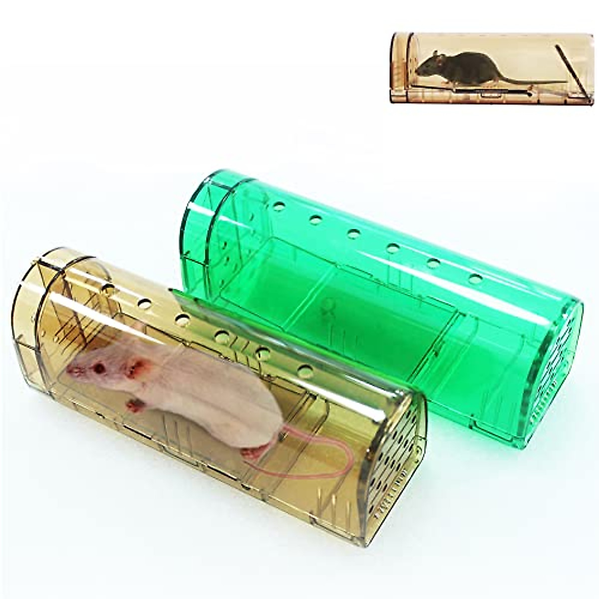 Humane Mouse Traps no Kill，Live Mouse Trap，Catch and Release That Works for Indoor/Outdoor 2 Pack Green and Brown，Kids and Pets Safe，Easy to Set/Clean，Reusable for Small Voles、Hamsters、Moles。