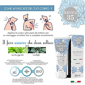 Dulàc - Arnica Cream 2.53 Fl Oz Rich in Organic Arnica Montana Extracts, Arnica Bruise Cream Extra Strength Also Ideal for Muscle and Joint Relief, Swelling and Edema