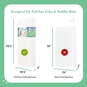 Evolur Comfort Balance Plus Supreme 260 Coil Inner Spring Crib & Toddler Mattress, Waterproof, Green Guard Gold Certified, Removable Cover, White, Crib