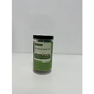 FIPASEN Rabbit Chew Toys for Teeth, 16PCS Natural Timothy Hay Chew Toy, Improve Dental Health for Bunny/Chinchilla/Guinea Pig/Hamsters/Holland Lop, Small Rodent Pet Molar Teeth Treats Toys