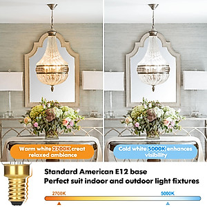 Dimmable E12 Candelabra LED Light Bulbs 40W Equivalent, 2700K Soft Warm White Chandelier Light Bulbs, 4W 460 LM Flame Tip Candle Light Bulbs, 12-Pack