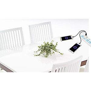 CERRXIAN 8 Inch USB 2.0 Type A Male to Dual Micro USB Male Splitter Y Data Charge Connector Adapter Cable (Black)