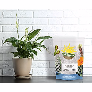 Peace Lily Potting Soil Mix (2 Quarts), for Planting, Growing, or Repotting Peace Lily Plants
