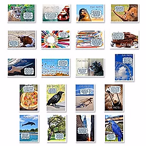 FUN FACTS postcard set of 20. Post card variety pack with trivia and fun fact theme postcards. Made in USA.