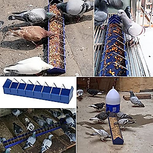 PAULOZYN Large Pigeon Feeder Rack 2PCS Food Dish Dispenser Tool Slot Container Thick for Poultry Chicken Duck Parrots Bird Supplies