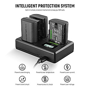 NEEWER LP-E6NH Replacement Battery and USB Charger Set, 3-Pack 2250mAh Replacement for LP-E6NH Battery & Triple Slot USB Charger Compatible with Canon EOS R7 R5 R6 R6 II R, 5DIV, 6DII, 7DII, 80D, 90D