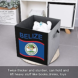 Flag of Belize Collapsible Storage Bins Basics Folding Fabric Storage Cubes Organizer Boxes with Handles