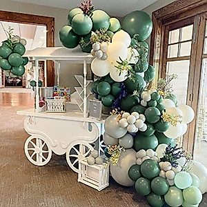 GAGAKU 100pcs Sage Green Balloons Different Sizes 5/10/12/18 Inch for Garland Arch, Olive Green Party Balloons for Baby Shower Wedding Birthday Anniversary Eucalyptus Themed Party Decoration