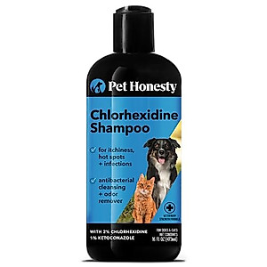 Pet Honesty Chlorhexidine Shampoo - Ketoconazole & Aloe for Dogs & Cats - Helps Itching, Hot Spots, Irritation & Allergies, Sensitive Skin, Deodorizing Dog Shampoo, Dog Grooming Supplies - 16oz