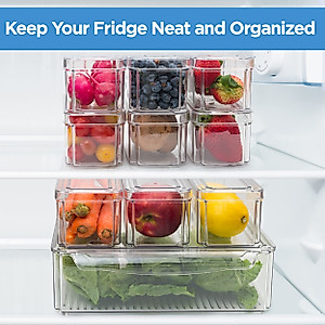 10 Pack Clear Refrigerator Organizer, Fruit and Veggie Clear System Organizer Plastic holder Containers for Food arrangement, Simplify organization for Refrigerator and Pantry