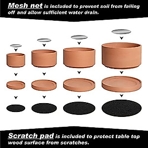 D'vine Dev Set of 4 Terracotta Shallow Planter Pots for Succulent, 3 Inch 4 Inch 5 Inch 6 Inch, Small Flower Plant Pots with Drainage and Saucer, 40-D-L-1