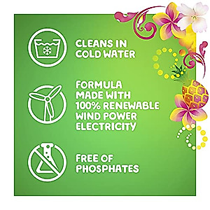 Gain Botanicals Plant Based Laundry Detergent, Orange Blossom Vanilla, 46 fl oz 32 loads, HE Compatible, Pack of 2