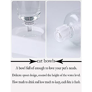 Marchul Cat Bowls, Cat Food Bowls, Cat Dog Tilted Water and Food Bowl Set, Raised Cat Bowl for Small or Medium Size Dogs Cats