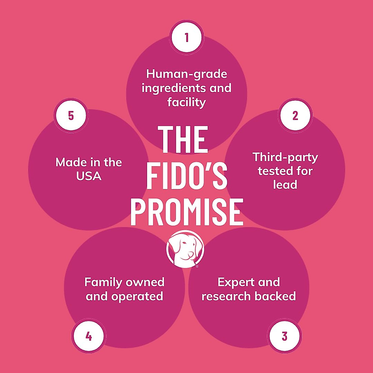 Fido's Digestion Bone Broth for Dogs - Grass-Fed Beef Bone Broth Powder & Organic Herbs - Supports Digestion & Gut Health - Dog Food Topper for Dry Food - 60 Scoops