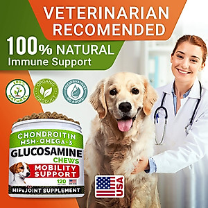(Pack of 3) Glucosamine Treats for Dogs - Joint Supplement w/Omega-3 Fish Oil - Chondroitin, MSM - Advanced Mobility Chews - Joint Pain Relief - Hip & Joint Care - Chicken Flavor - Made in USA