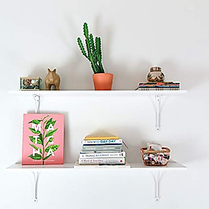 Bridgewater Candle Sweet Grace Home Décor Collection Soy Blend Fragranced Candle #008