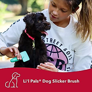 Coastal Pet Li'l Pals Dog Slicker Brush with Coated Tips - Dog Grooming Brush for Small Breeds & Puppies - One Size