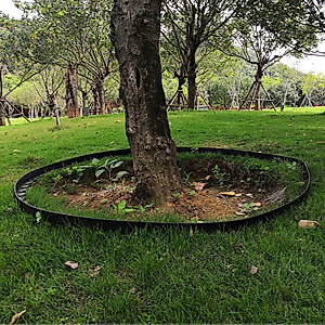 Landscape Edging,40FT Plastic No Dig Garden Edging with 40 Stakes,2 Inch Tall Lawn Edging for Lawn,Yard,Flower Gardens Border (Black-40FT)