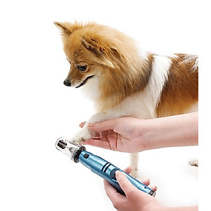 Oster Gentle Paws Less Stress Dog and Cat Nail Grinder, 2 Speed (078129-600-000)