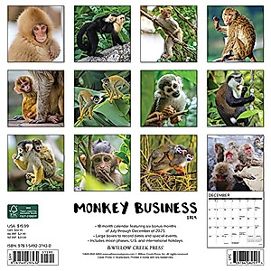 Willow Creek Press Monkey Business Monthly 2024 Wall Calendar (12" x 12")