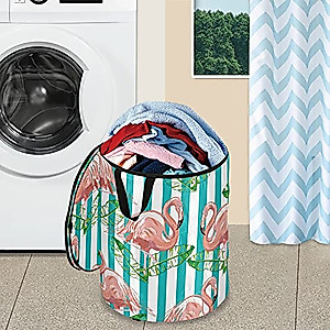 Tropical Flamingo Pop Up Laundry Hamper with Lid Foldable Storage Basket Collapsible Laundry Bag for Camping Picnics Bathroom