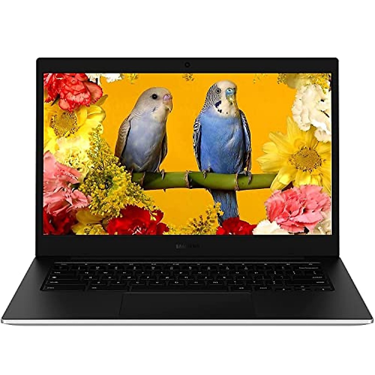 Samsung Galaxy Chromebook Go 14" Laptop for Student, Intel Celeron N4500 Processor up to 2.8GHz, 4GB LPDDR4 RAM, 64GB eMMC, WiFi 6, Silver, Chrome OS (Renewed)