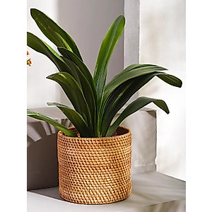 I-LAN Kitchen Rattan Cutlery Utensils Container Holder,Table Wicker Mini Trash Cans,Desktop Storage Bin,Boho Home Decor Flower Pot Cover for Indoor Planter,7.8"x7.8"x7.1"