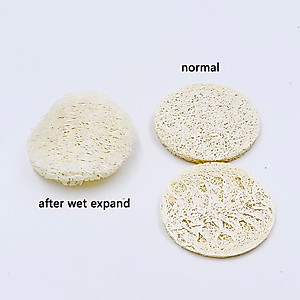 Facial Loofah Pads, 2.36 inches Round Complexion Natural Loofah Facial Discs Exfoliating Facial Loofah Skin Scrub Pack of 20