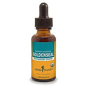 Herb Pharm Certified Organic Goldenseal Liquid Extract for Respiratory System Support, Organic Cane Alcohol, 1 Ounce