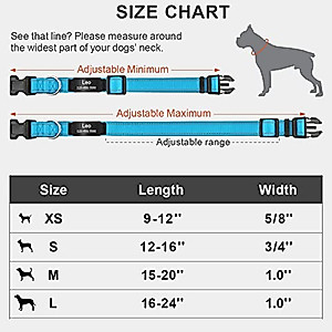 SF Custom Personalized Reflective Dog Collars,Custom Engraved Stainless Steel Name Plate ID Collar Padded Pet Collar 4 Adjustable Sizes X-Small Small Medium Large