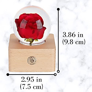 Ellington Gifts Real Preserved Flower Glass Ball Night Light | Dimmable Battery LED, Real Eternal Flowers, Birthday Gifts for Women Mom Girlfriend, Special Anniversary, Valentine's Day (Red Rose)