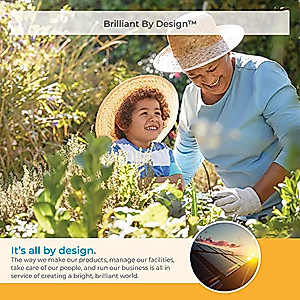 Suncast BMC3000 Cabinet-Resin Construction for Wall Mounted Garage Storage, 30.25" Organizer, Silver/Platinum