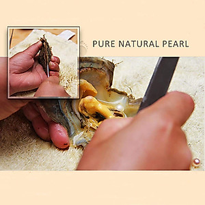 LGSY 7-8mm Mixed Colored Akoya Saltwater Cultured Pearl Oysters for DIY Jewelry Making, Pack of 5Pcs(White, Pink, Purple, Black)