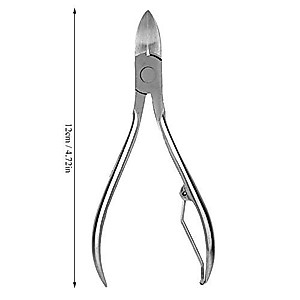 Piglet Teeth Cutter, 12cm/4.7in Stainless Steel Tooth Cutter Scissor Pig Tooth Nipper Piglets Teeth Clipper