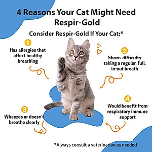 Pet Wellbeing Respir-Gold for Cats - Supports Healthy Breathing, Open Airways, Respiratory Support, Black Cumin, Horehound, Grindelia - Veterinarian-Formulated Herbal Supplement 2 oz (59 ml)