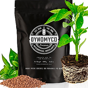 Mycorrhizal Inoculant by DYNOMYCO – High Performing Strains – Concentrated Formula – Improves Nutrient Uptake – Increases Plant Yields Enhances Resilience to Stress Saves Fertilizer (3.5 Oz / Up to 20 Plants)