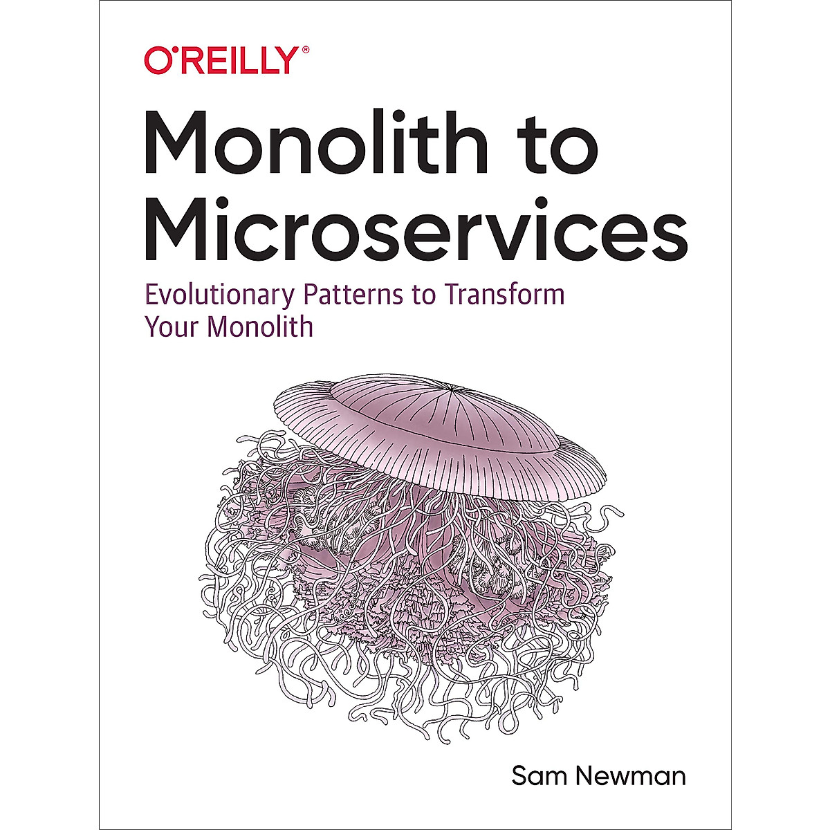 Monolith to Microservices: Evolutionary Patterns to Transform Your Monolith