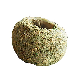 Generic 5pcs Moss Ball Planter Japanese Style Natural Kokedama Flower Vase Flower Pot Creative Sphagnum Flower Holder Potted Hydrating Bonsai Plants Containers for Home Wedding Decor