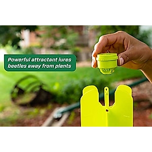 RESCUE! Japanese Beetle Trap – Reusable Bag - 3 Traps