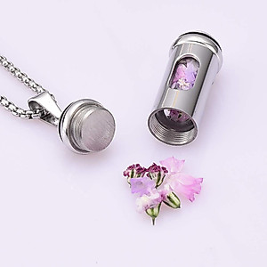 Oinsi Window of Glass Cylinder Cremation Urn Jewelry Keepsake Memorial Necklace Hold Ashes for Women (Silver Tone)
