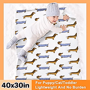 Dachshund Blanket Dog Plush Gifts for Kid Girl Boy Fleece Throw Cute Dachshunds Lightweight Christmas Decor Sheet Soft Flannel Blankets Women Men Bedding for Sofa-40"x30" Extra Small for Toddler Pet