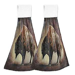 ATTX Set of 2 Standing Side View Bison Oil Painting Hanging Tie Towels Absorbent Soft Coral Velvet Kitchen Hand Towel Dish Wipe Cloth for Kitchen Bathroom