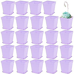 24 Pack Plastic Square Nursery Pots 3 Inch Plastic Plant Pots,Flower Pot with Tray Saucer for Indoor Outdoor Garden Office Decor
