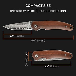 BARRYSAIL Damascus Small Pocket Knife, Folding Knife with 2.4 Inch Blade, Liner Lock, Wood Handle for EDC, Outdoor Camping, Survival