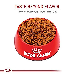 Royal Canin Medium Puppy Dry Dog Food, 6 lb bag