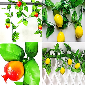 Sukkot Decorations Etrog Sukkah Decoration Rope, Pomegranate Fruits Garland, Indoor/Outdoor Decor for Jewish Sukkot Holiday