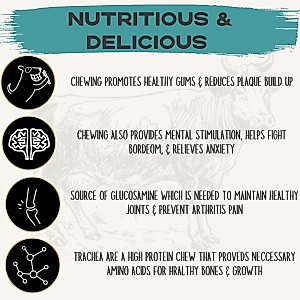 JACK'S PREMIUM Beef Trachea -Thick Beef Dog Chews All Natural Made in USA One Ingredient Rawhide Alternative (1/2-2" Pieces (2 lbs))