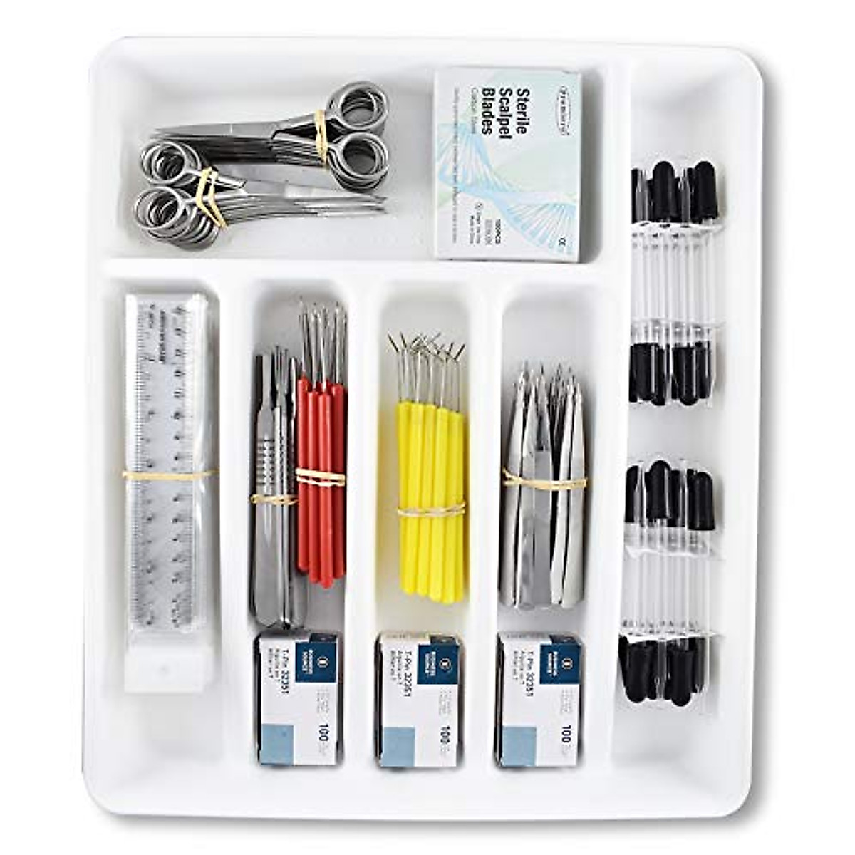 Classroom Dissection Set